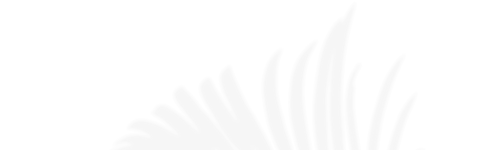 Your Personalized Skin Care Routine Quiz | True Botanicals